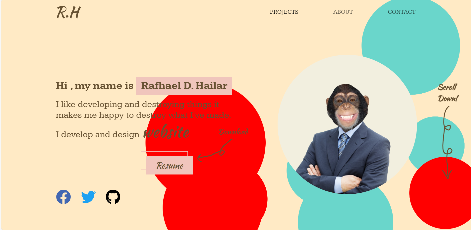 Rafhael D. Hailar | Portfolio